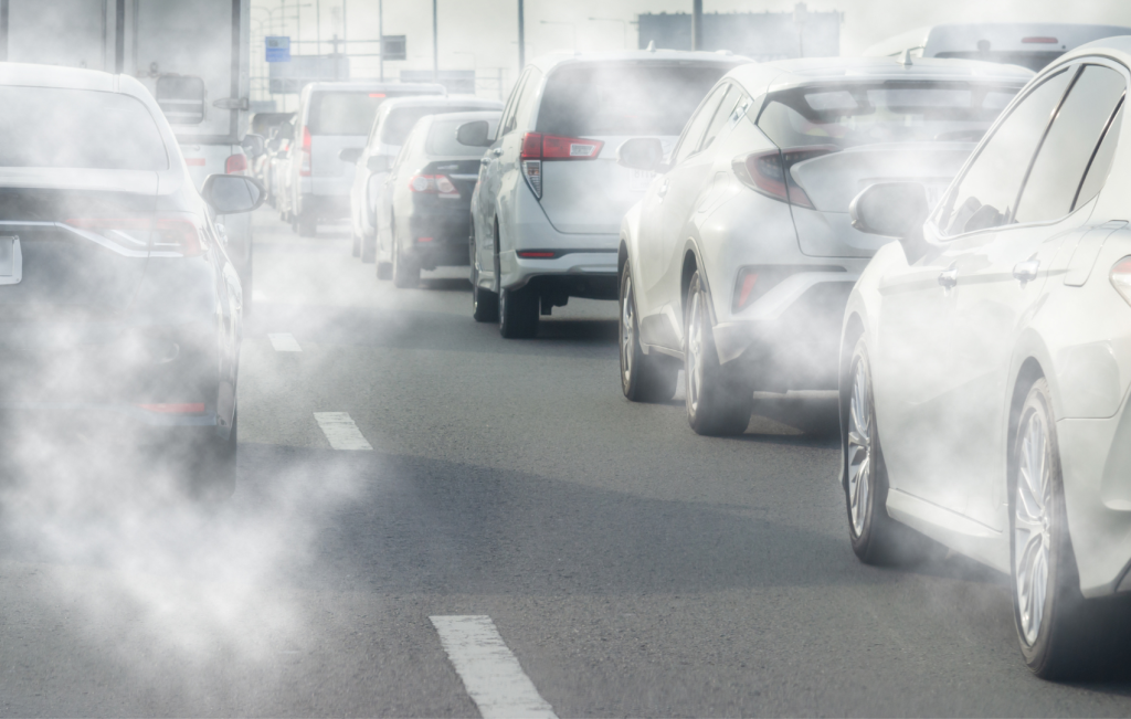 „Enorm wichtig für die Gesundheit der Menschen“ › Tiemo Wölken